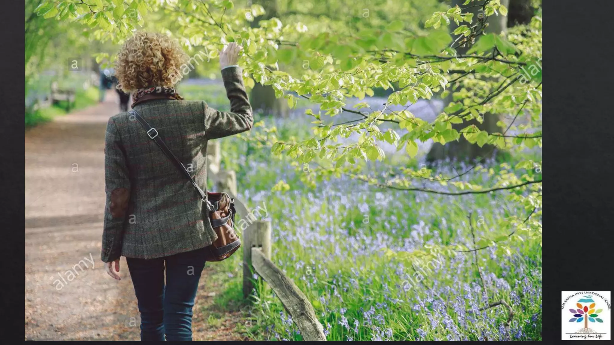 Values based learning | PPTX | Education