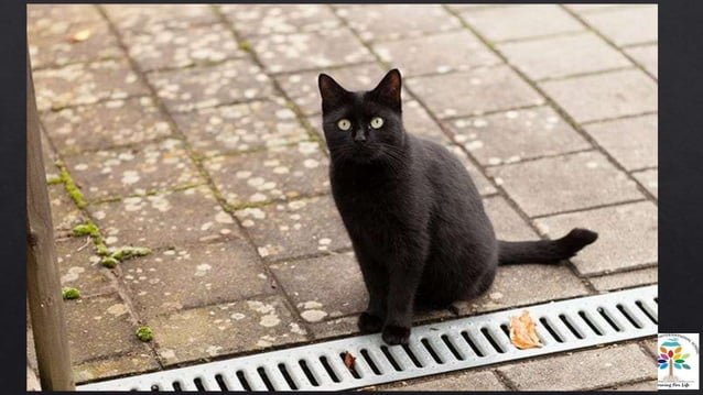 Values based learning | PPT