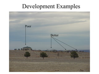 Values Based Public Service | PPT