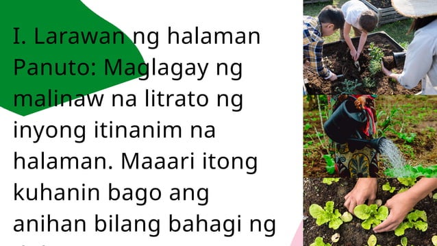 pagpapatupad ng sariling tungkulin bilang mamamayan | PPTX