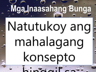 VALUES EDUCATION IN OUR LIFE AND SOCIETY | PPT