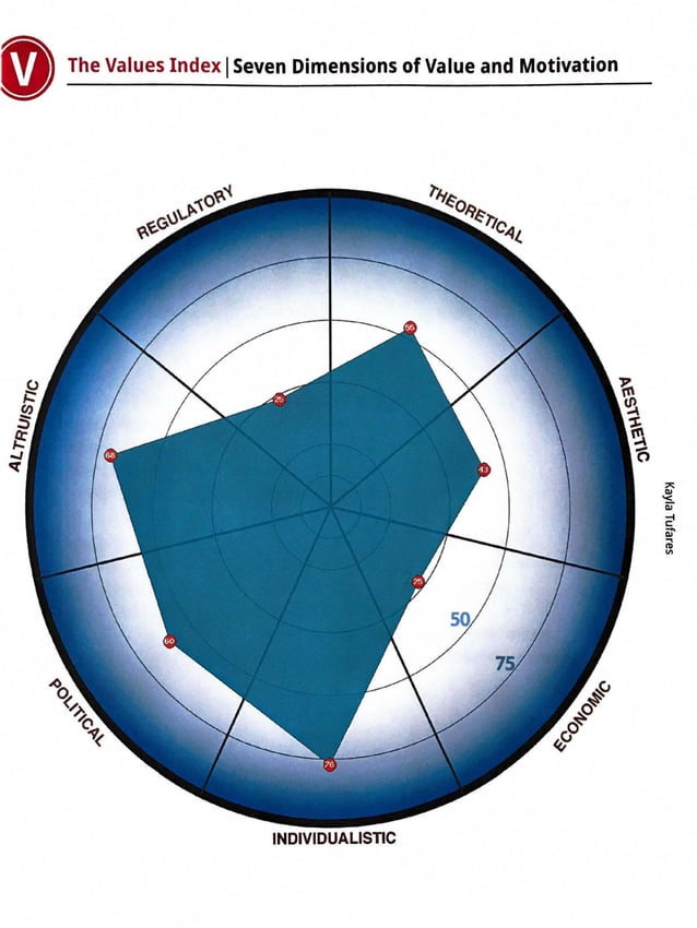 Values index assessment summary report | PDF