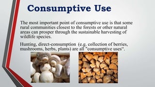 Values of biodiversity | PPTX