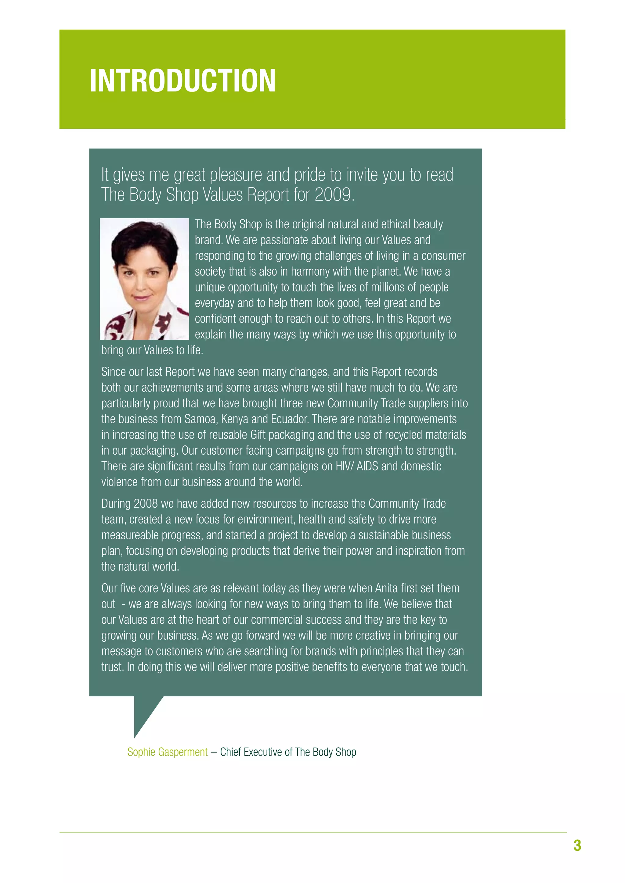 Body Shop Values report | PDF