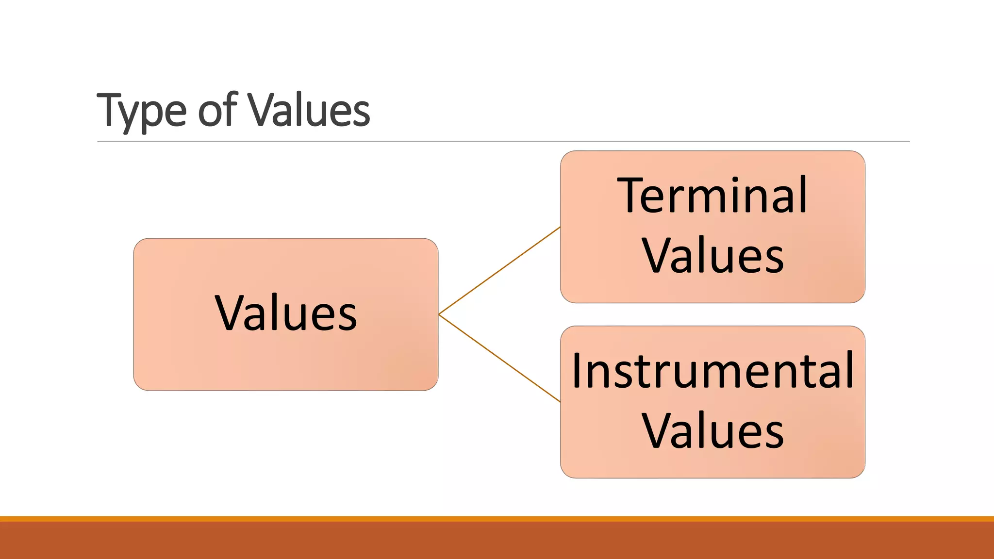 Value system, team, group work in Professional Practices | PDF