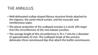 Anatomy of valves of the heart, and surgical implication | PPTX