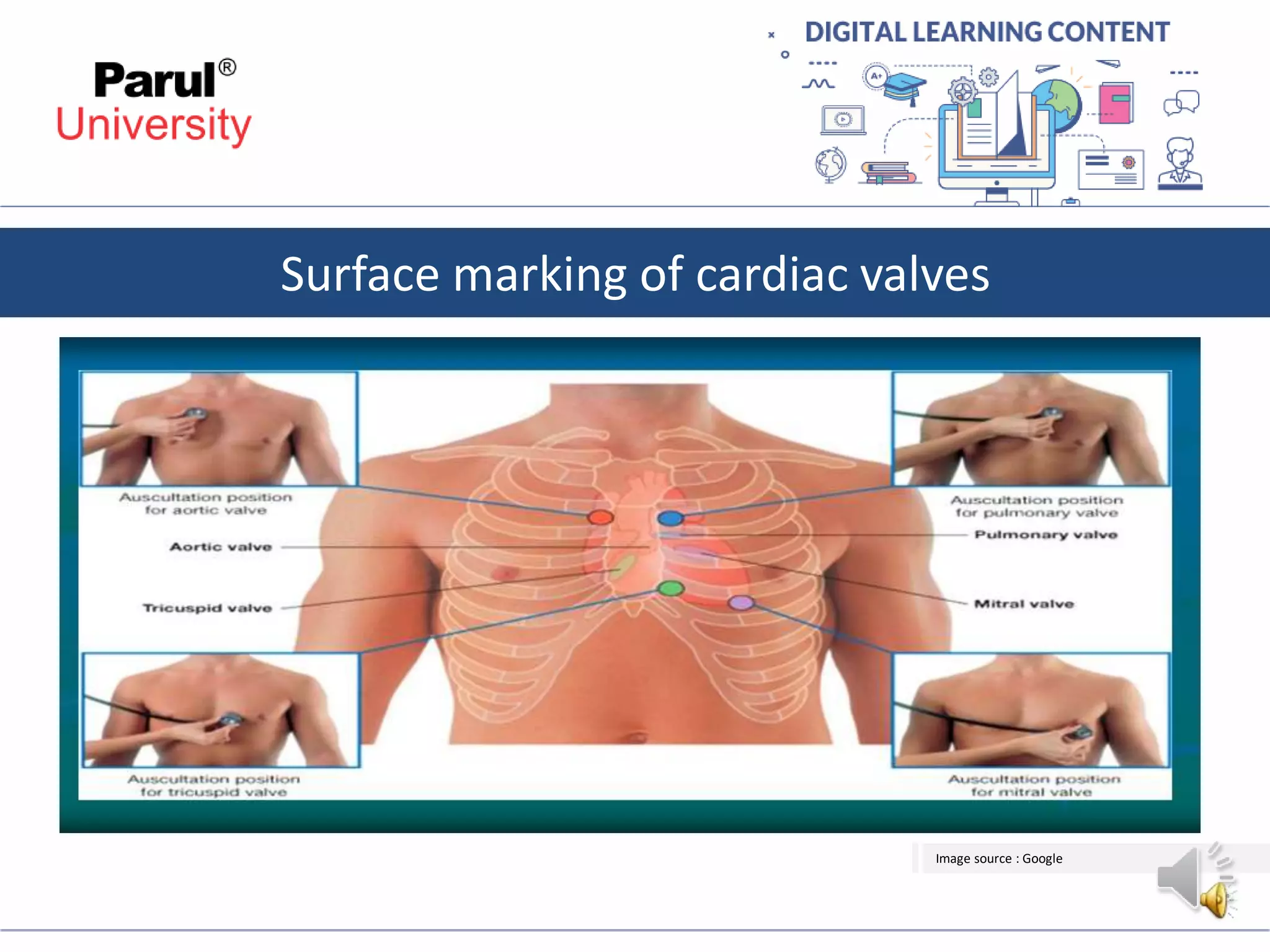 Valves of heart | PDF