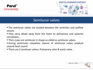 Valves of heart | PDF
