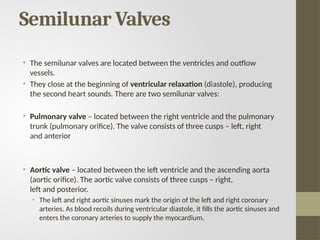 Valves of the heart easy learning for beginners.pptx