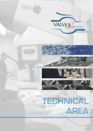 Valv Evolution | PDF