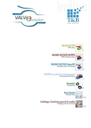 Valv Evolution | PDF