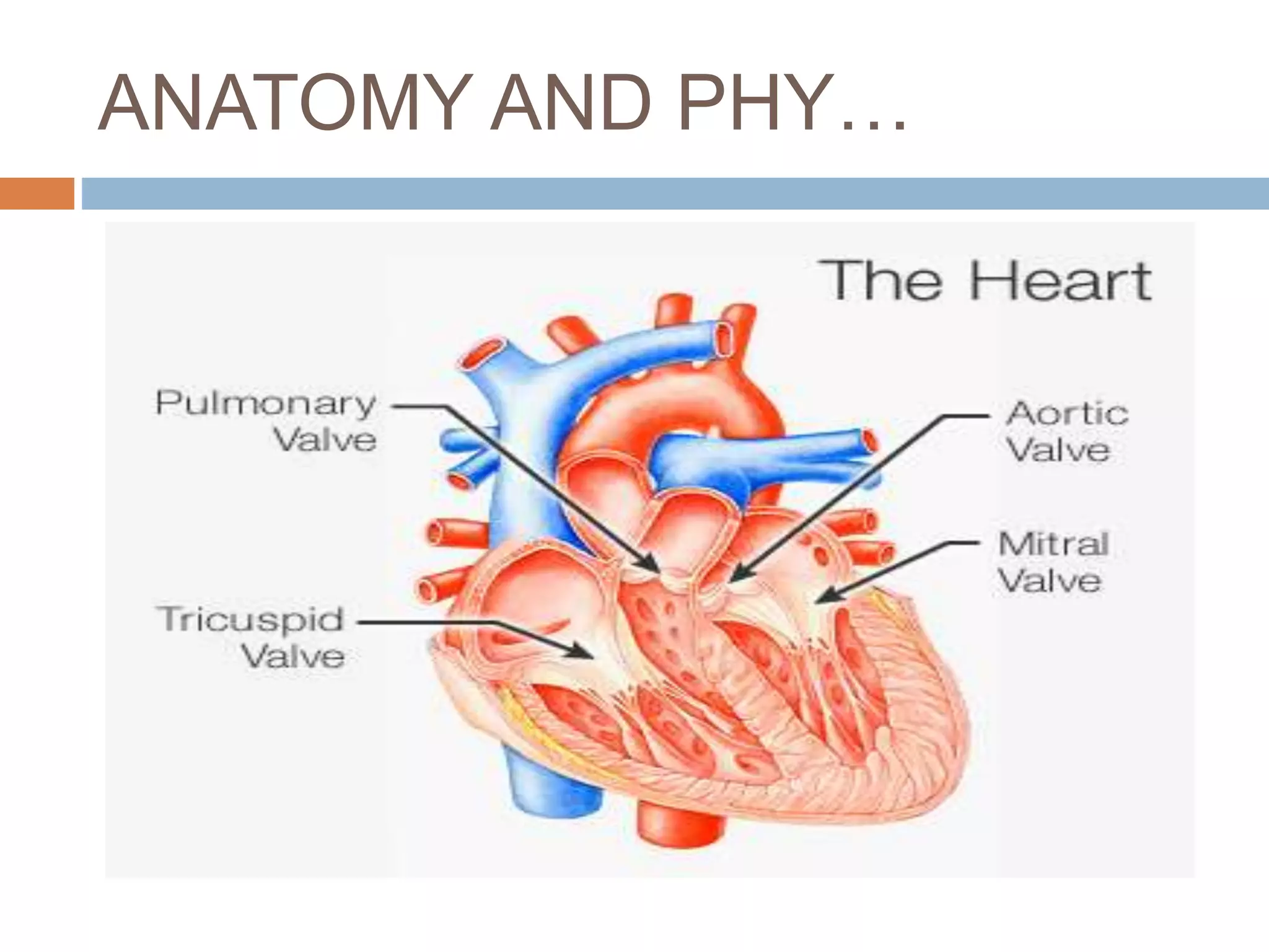 Valvular Heart Disease Heart Valve Disease Ppt