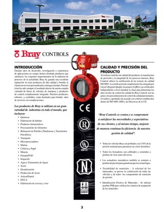 Valvula bray controls | PDF