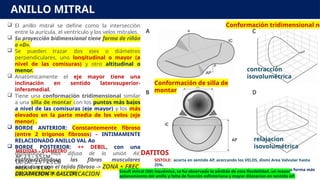 VALVULA MITRAL ANATOMIA FUNCIONAL .pptx
