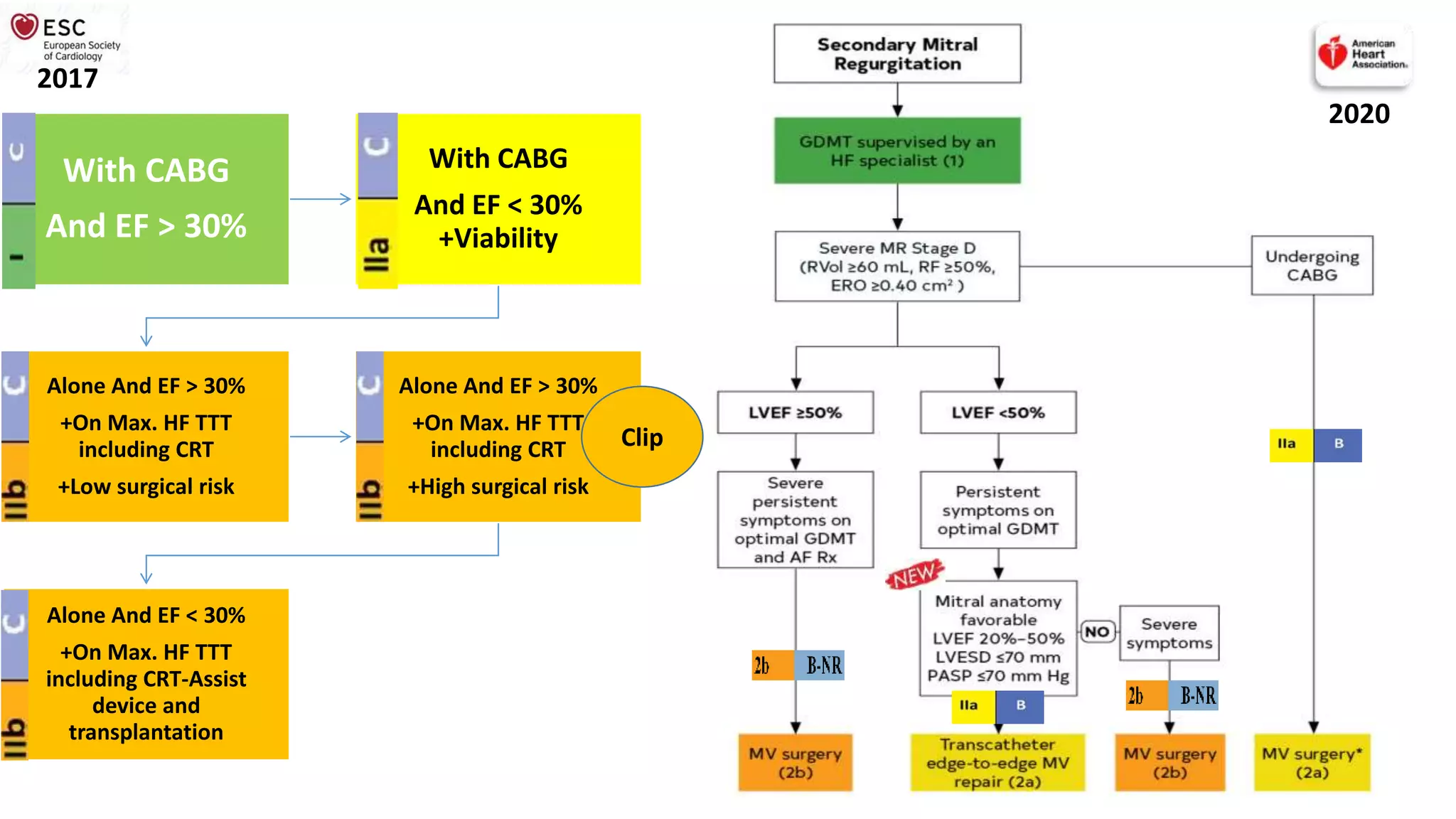 AHA Valvular guidelines 2020, What is new? | PPTX