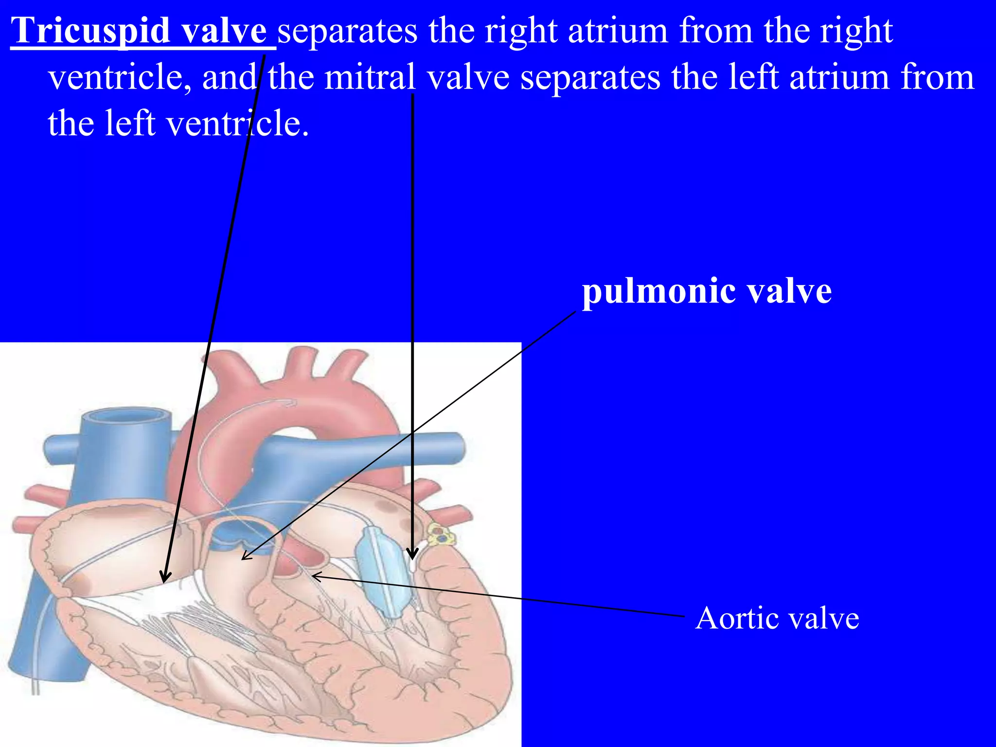 Valvular disorders | PPTX | Heart and Cardiovascular Diseases ...