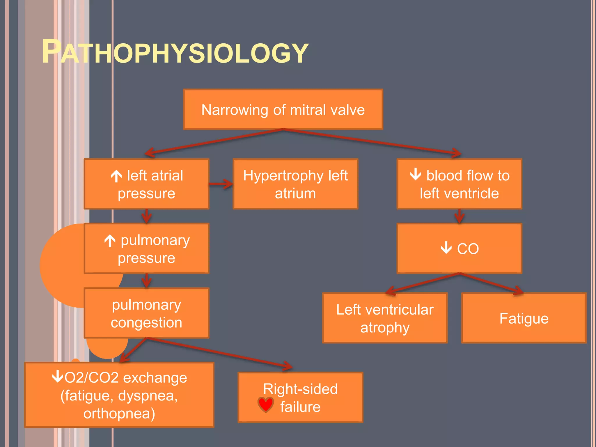valvularheart-161006101806 (1).pdf