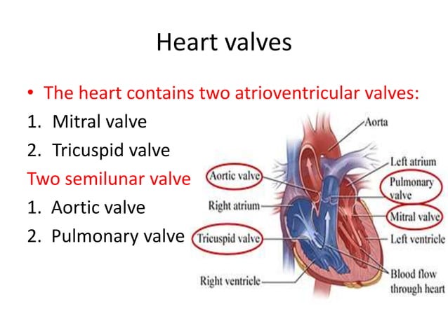 Valvular heart disease | PPTX