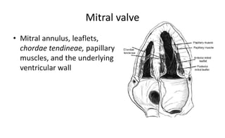 Valvular heart disease.pptx