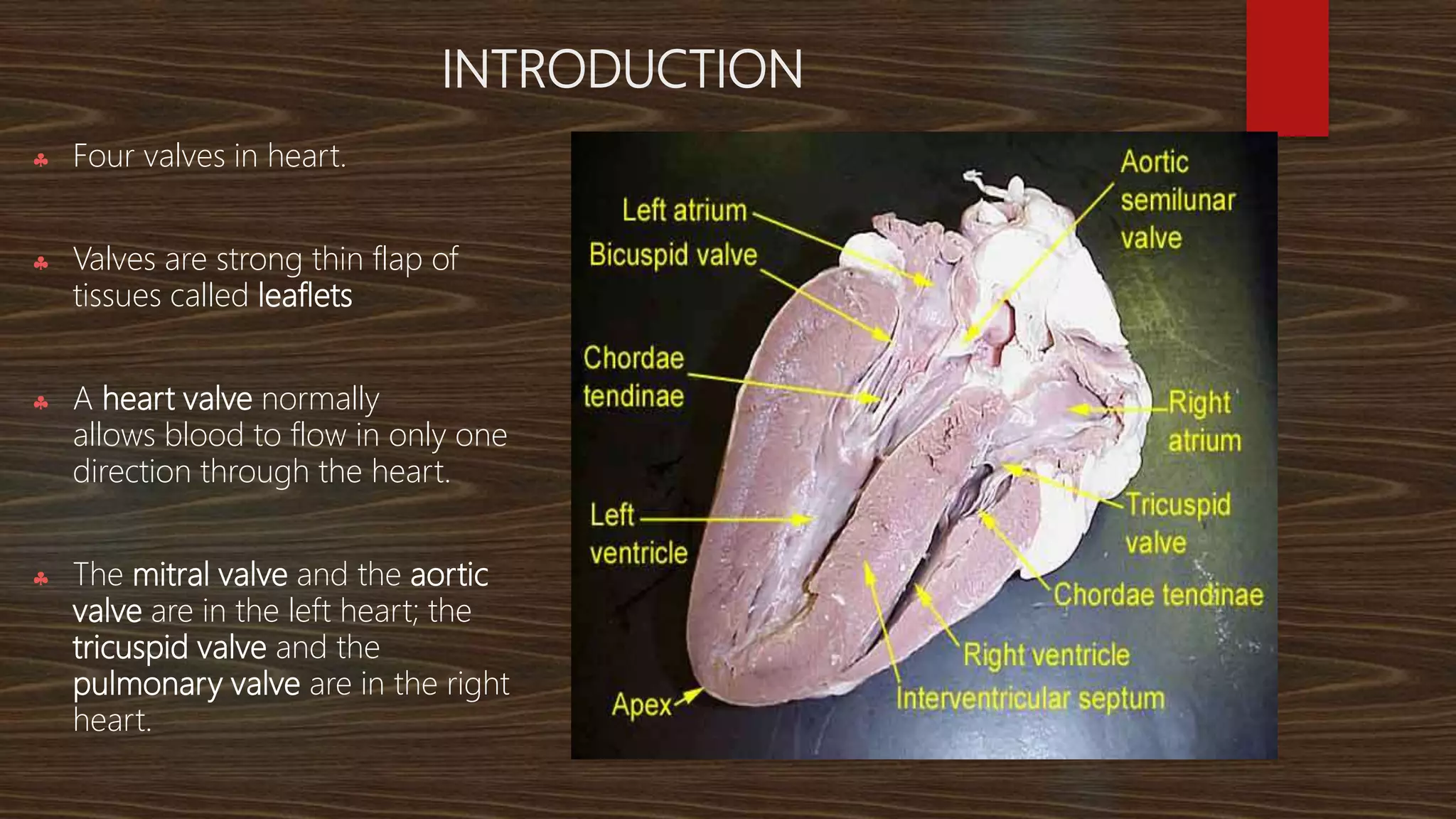 INDICATIONS FOR VALVULAR SURGERIES | PPTX
