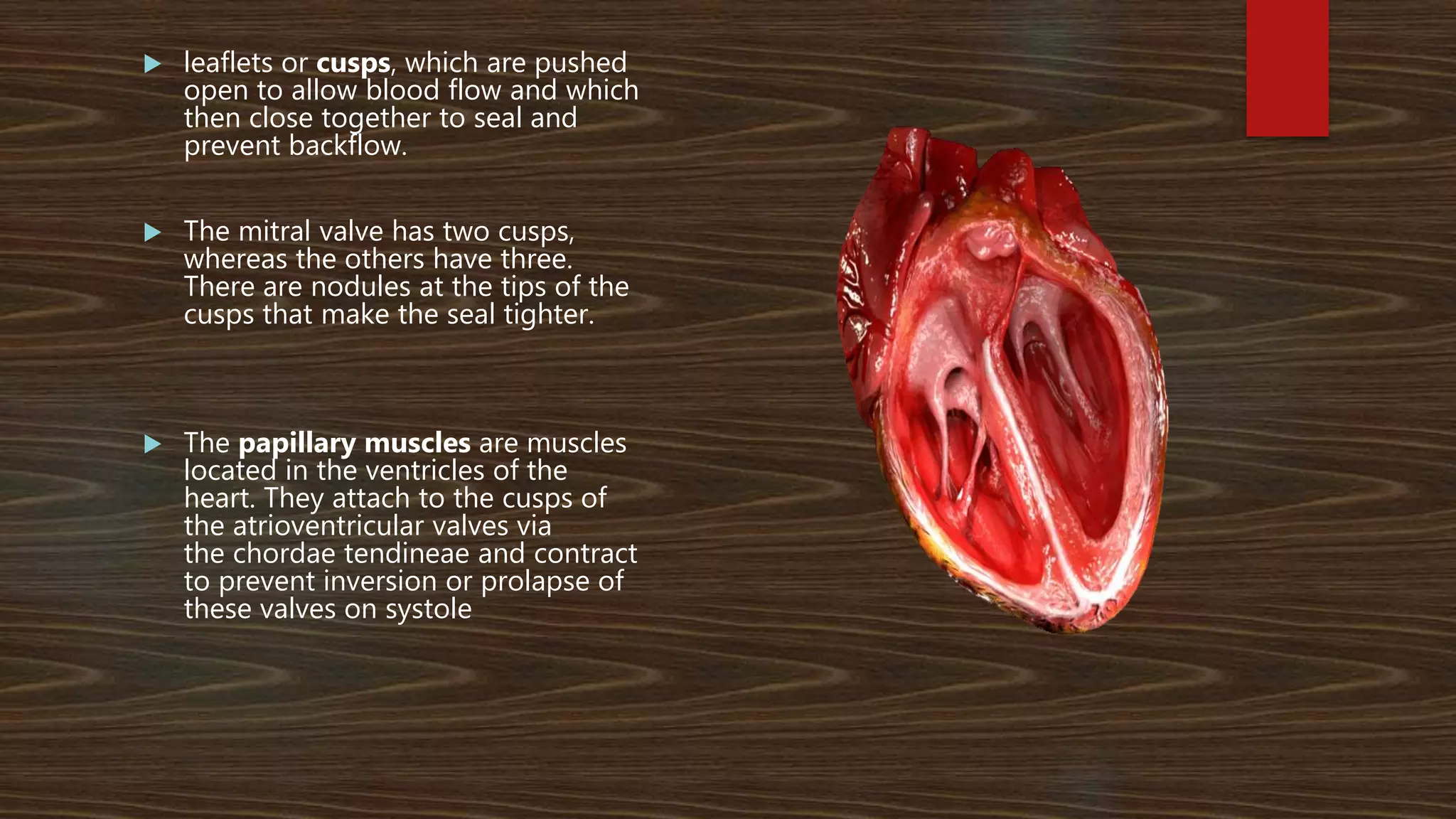 INDICATIONS FOR VALVULAR SURGERIES | PPTX