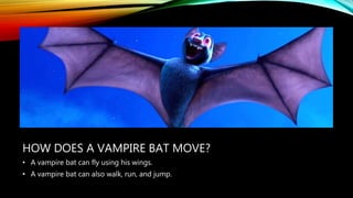 Vampire bat | PPTX