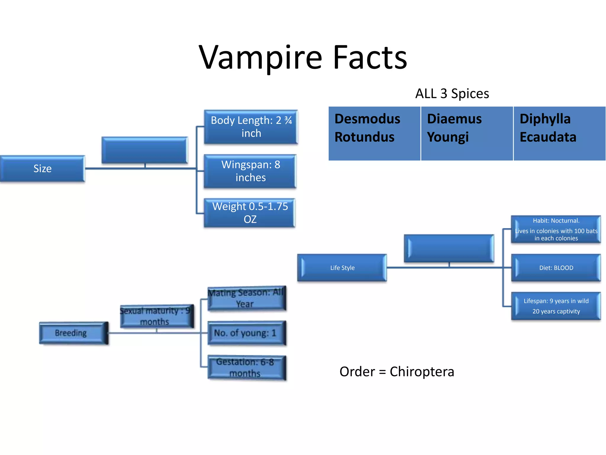 Vampire bats | PPTX | Zoos & Aquariums | Attractions
