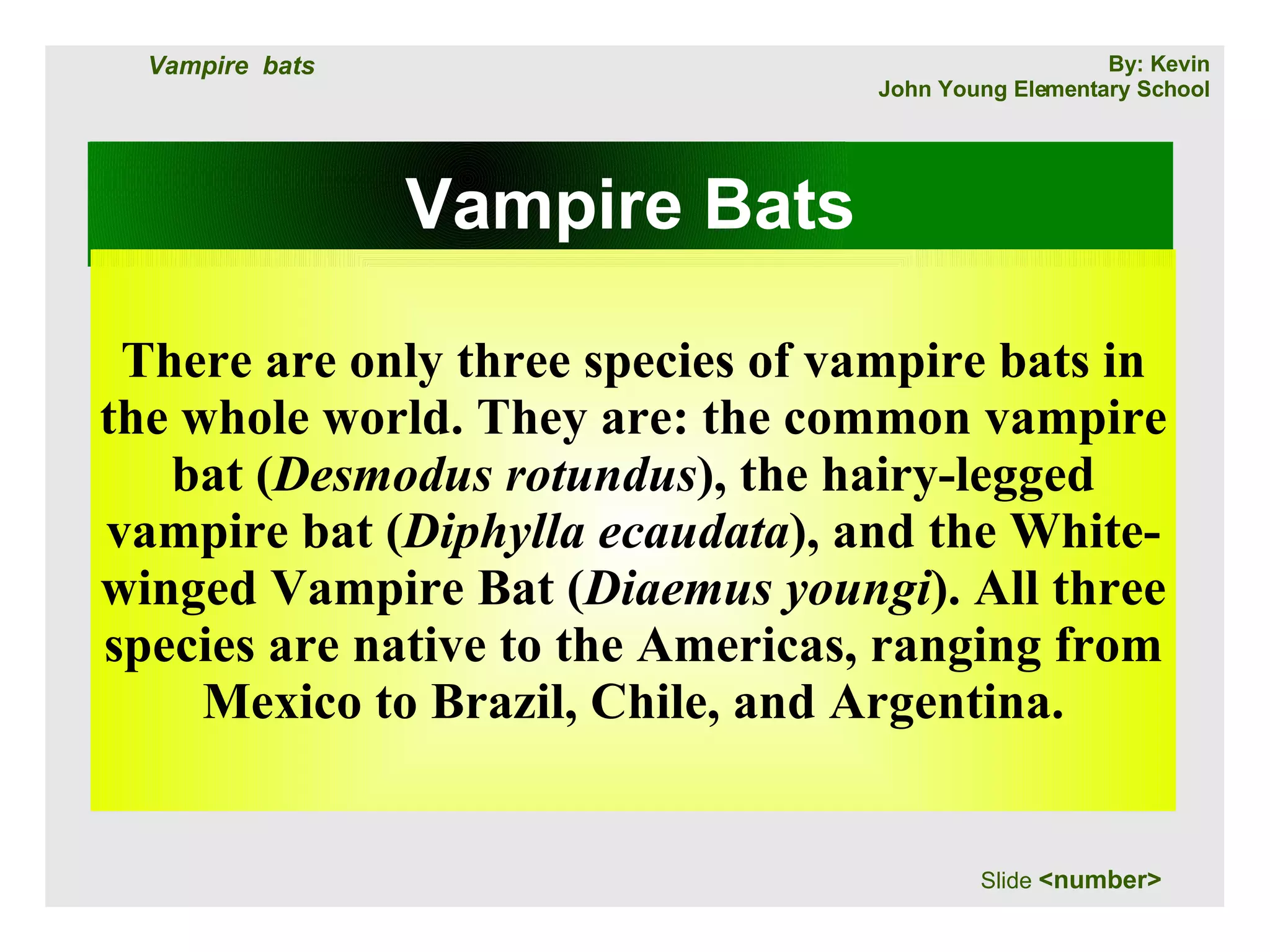 Vampire bats by Kevin | PPT