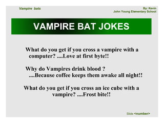 Vampire bats by Kevin | ODP