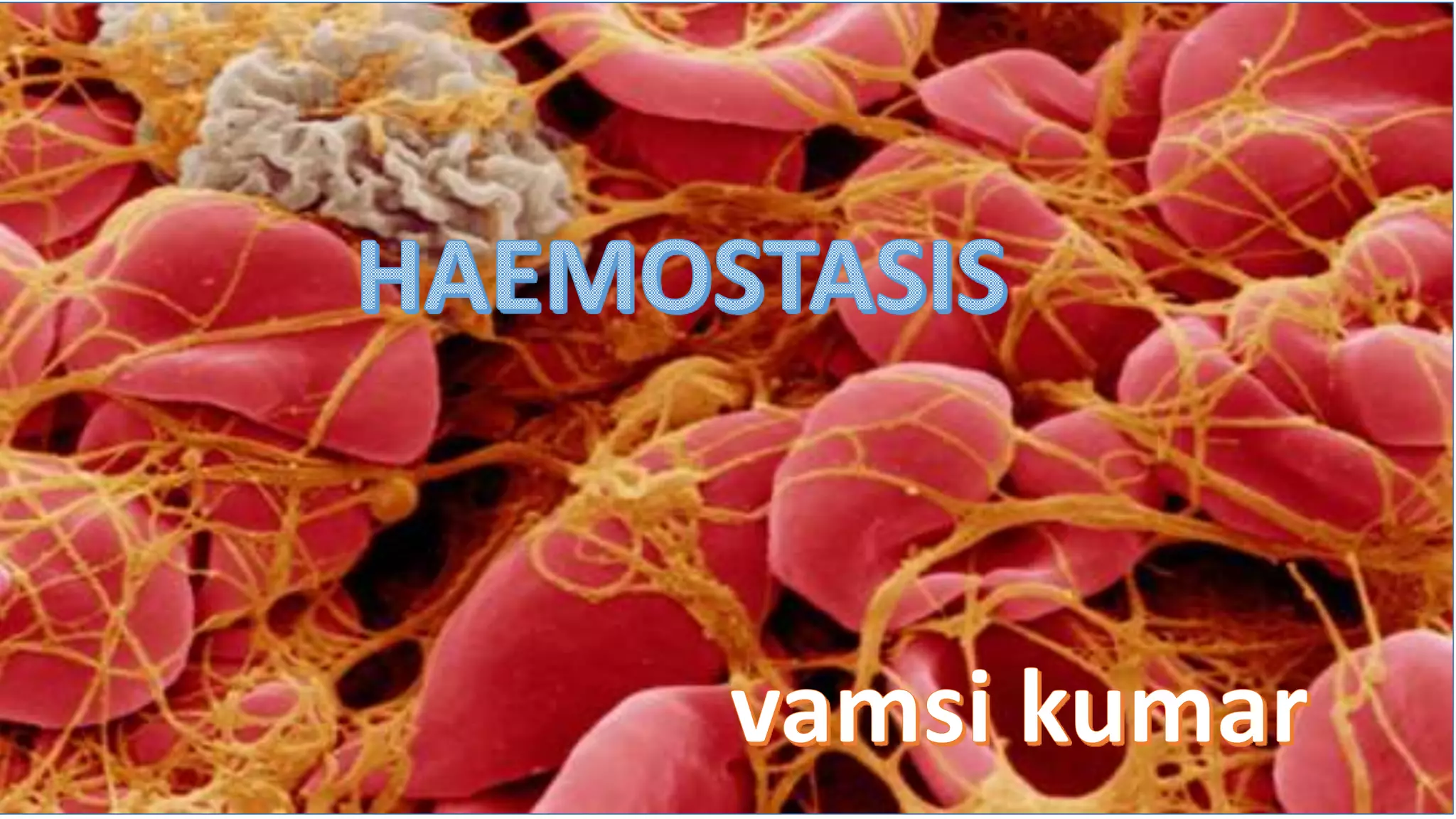 Hemostasis | PPTX