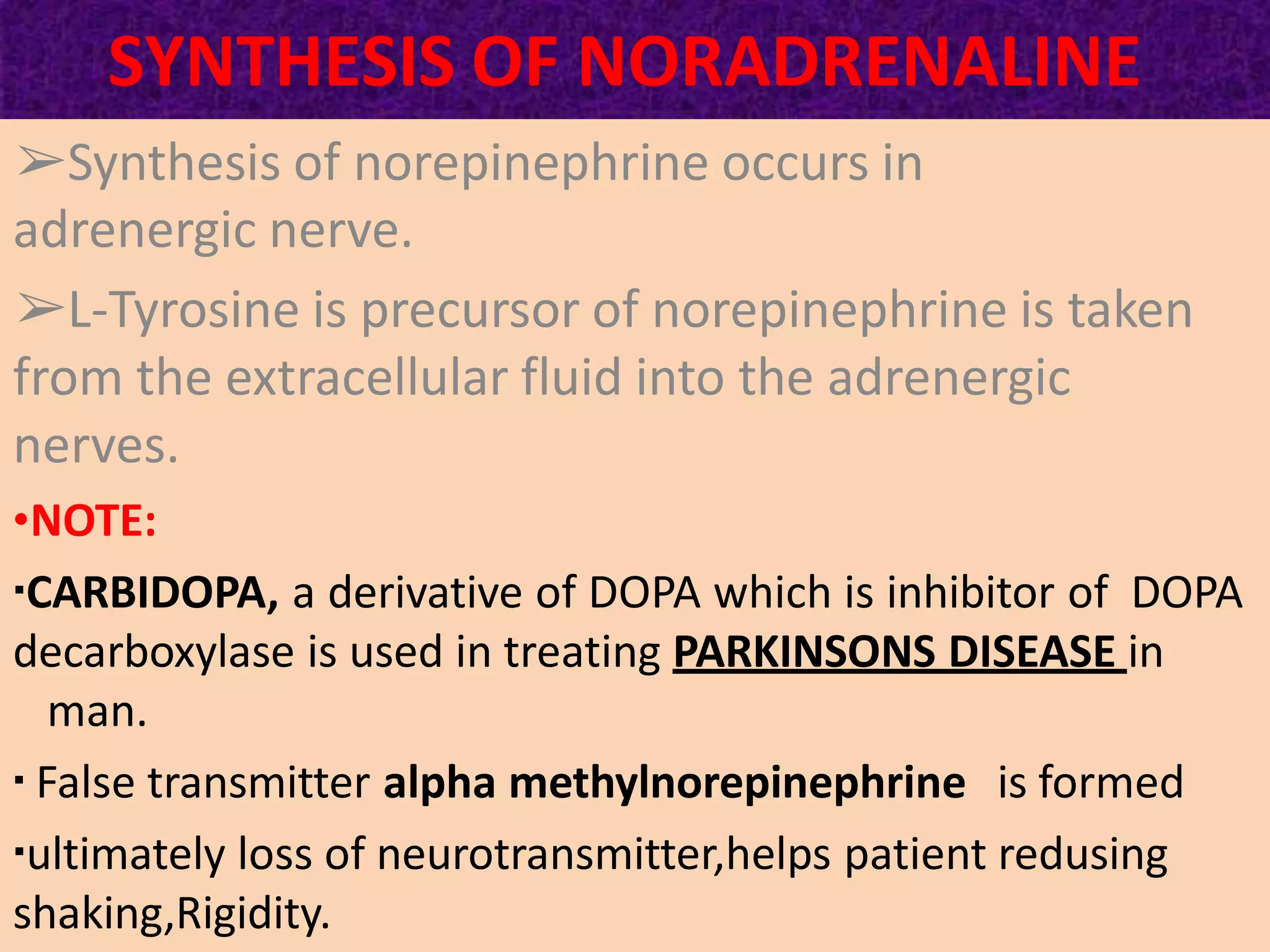 Neurohumoral transmission in ANS ( autonomic nervous system) updated | PPTX
