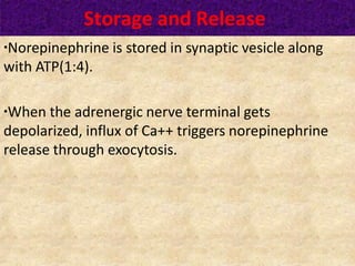 Neurohumoral transmission in ANS ( autonomic nervous system) updated | PPTX