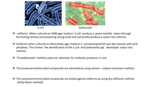 Vamsi project ppt | PPTX | Infectious Diseases | Diseases and Conditions