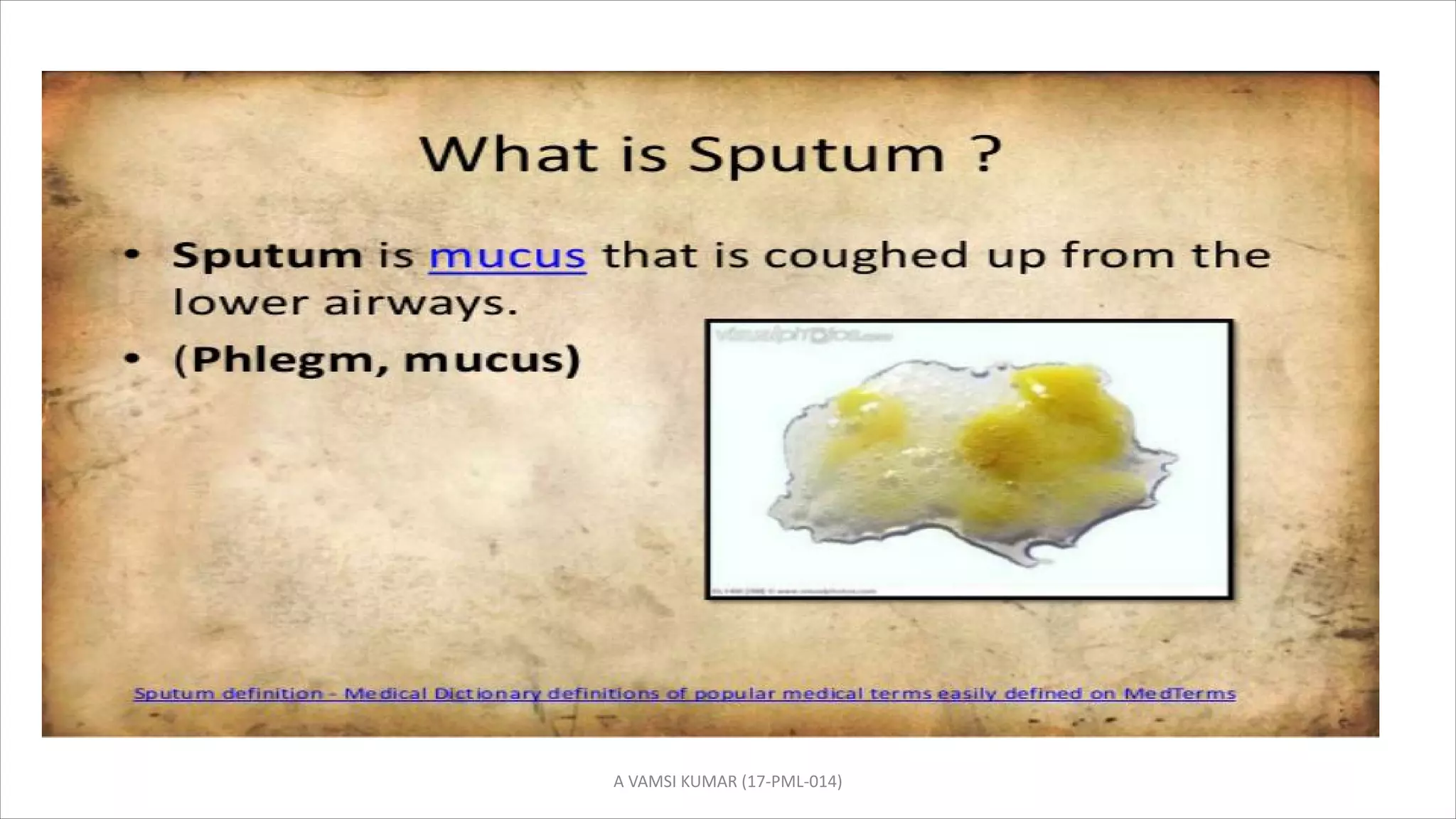 sputum examination | PDF