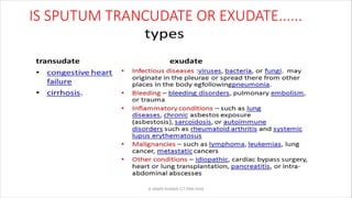 Sputum Types