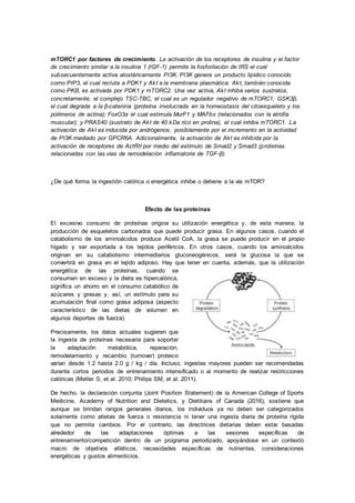 Vía mTOR: Características y funcionalidad enfocada a la síntesis de ...