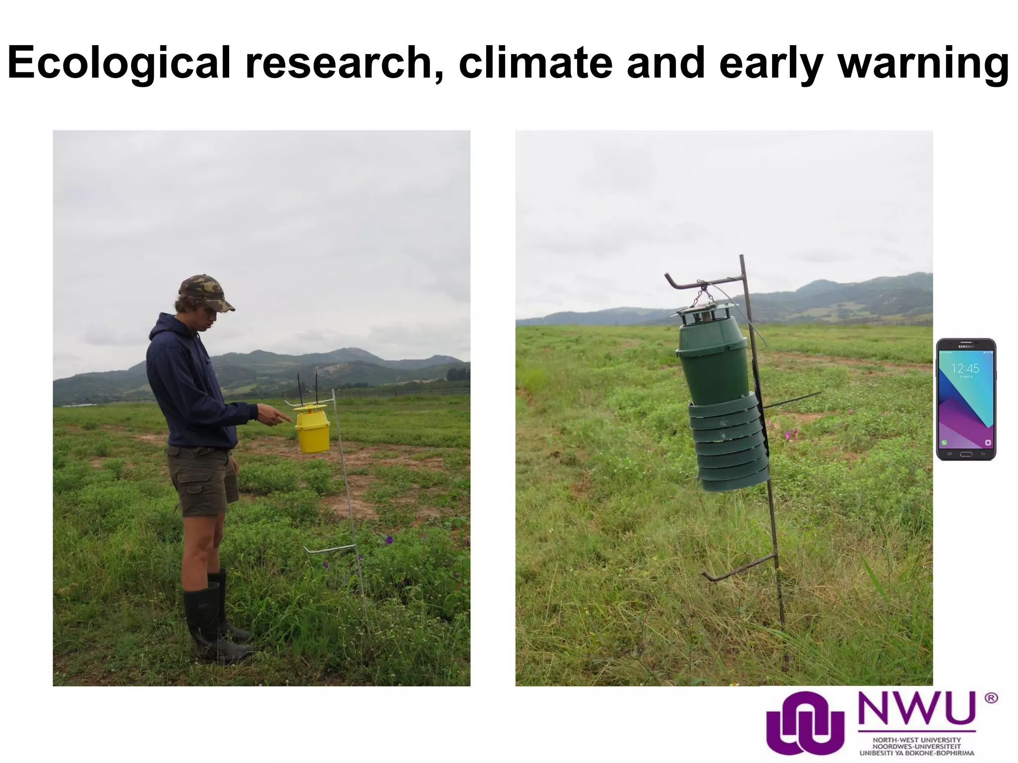 Possible management strategies for Fall Armyworm, a threat to African maize farmers | PDF ...