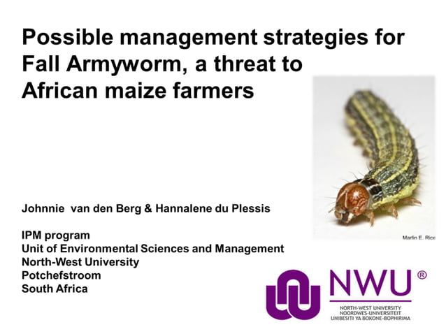 Possible management strategies for Fall Armyworm, a threat to African maize farmers | PDF ...