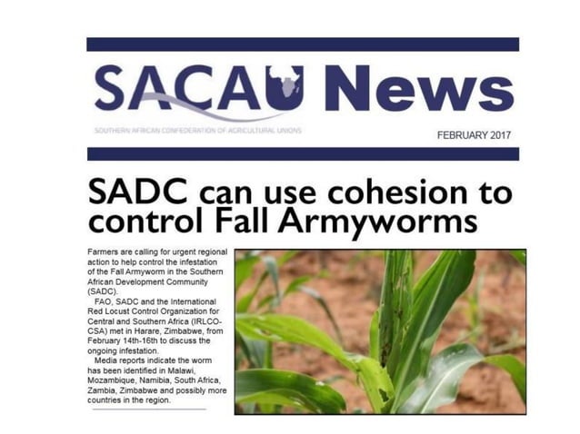 Possible management strategies for Fall Armyworm, a threat to African maize farmers | PDF ...