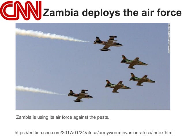 Possible management strategies for Fall Armyworm, a threat to African maize farmers | PDF ...