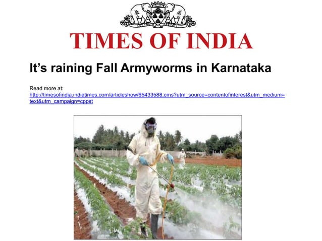 Possible management strategies for Fall Armyworm, a threat to African maize farmers | PDF ...