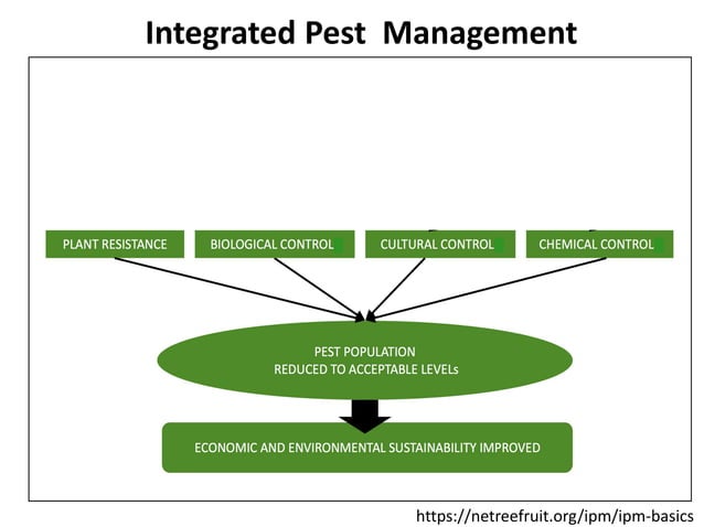 Possible management strategies for Fall Armyworm, a threat to African maize farmers | PDF ...