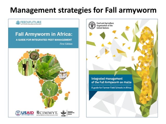 Possible management strategies for Fall Armyworm, a threat to African maize farmers | PDF ...
