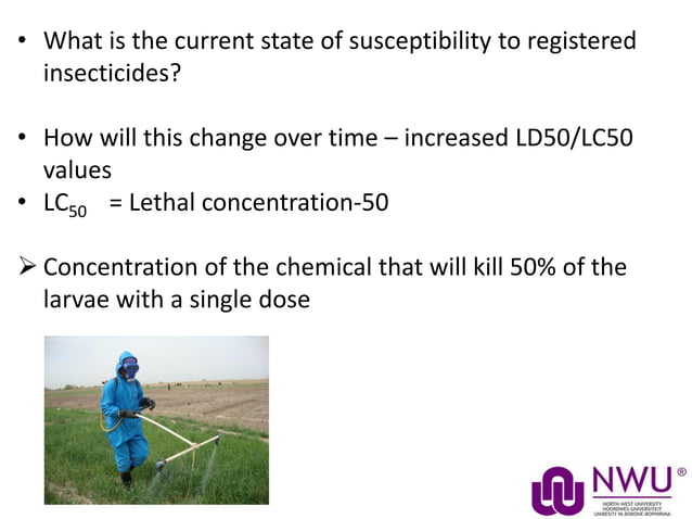Possible management strategies for Fall Armyworm, a threat to African maize farmers | PDF ...