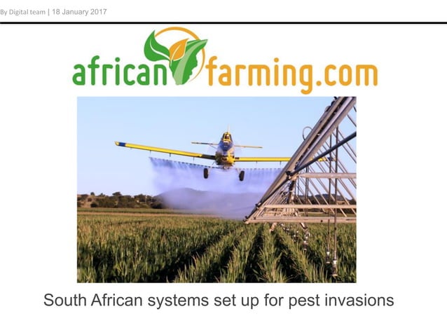 Possible management strategies for Fall Armyworm, a threat to African maize farmers | PDF ...