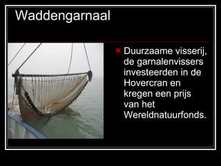 Van lamsoor-tot-oorlam | PPT