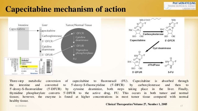 Van tinh nguyen chapter 39-anticancer drugs