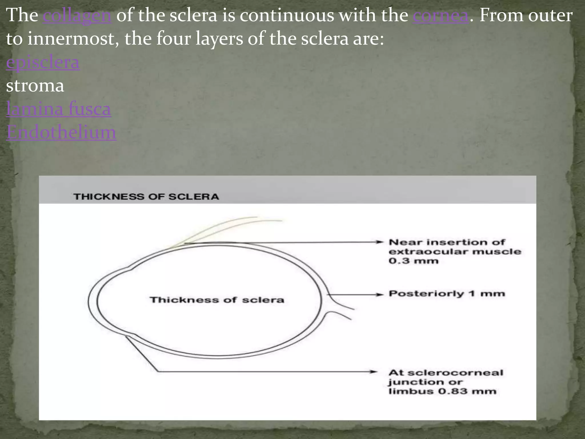 anatomy of eye | PPTX