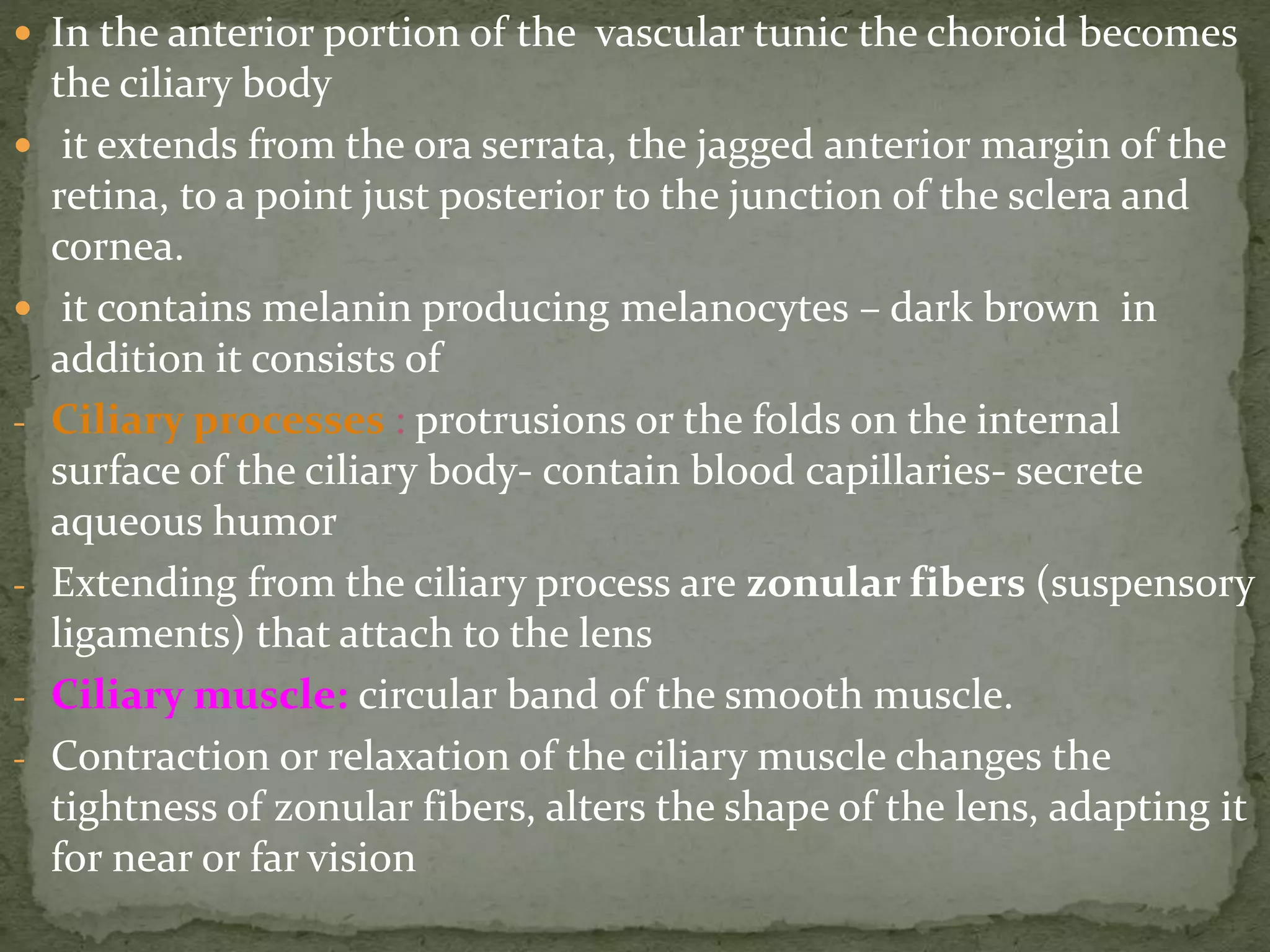 anatomy of eye | PPTX
