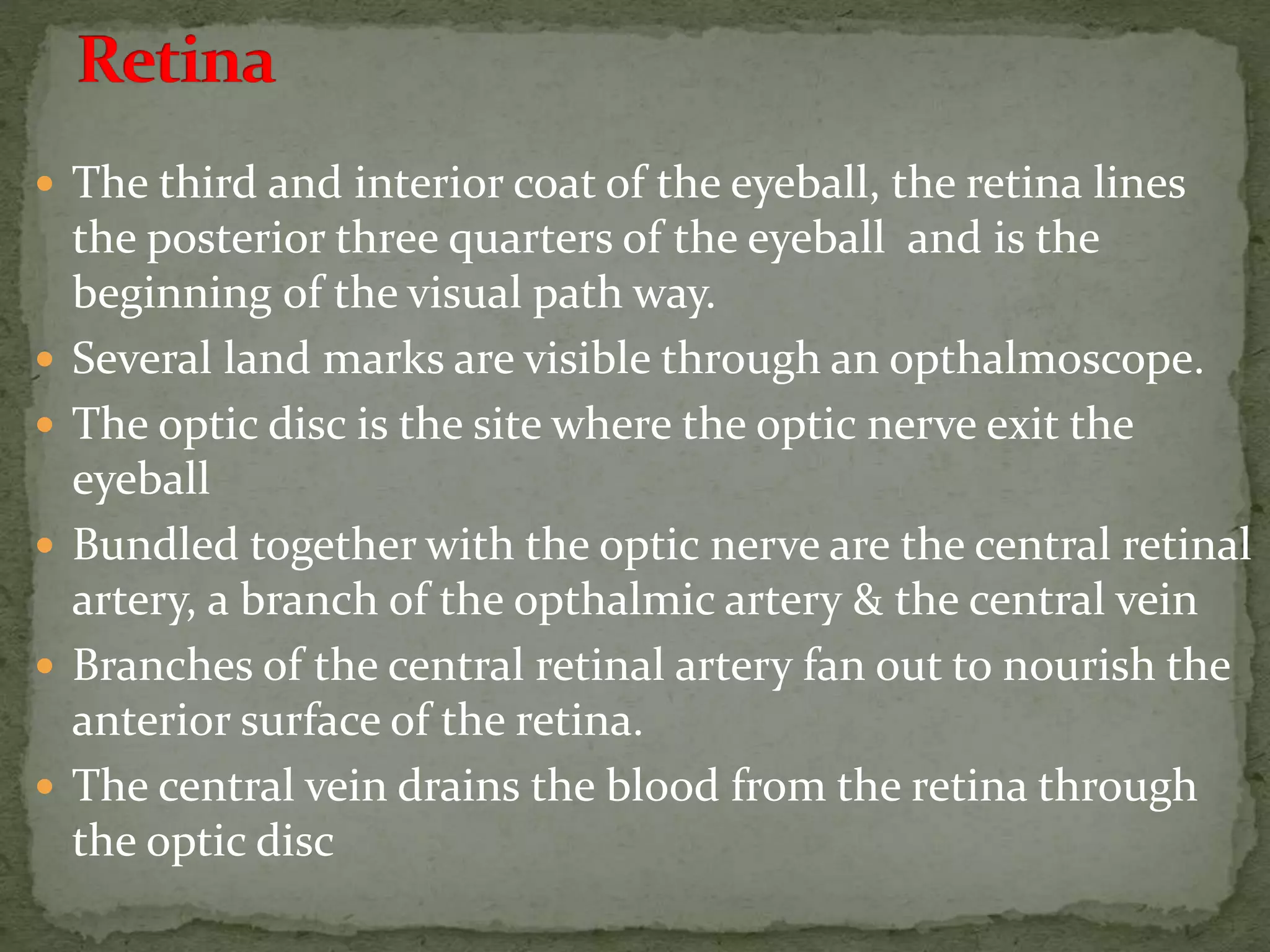 anatomy of eye | PPTX